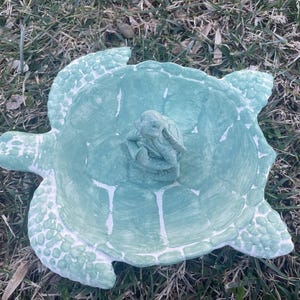 Sea Turtle BEE Puddler Station W/ YOGI Turtle Watering Station | Sealed ...