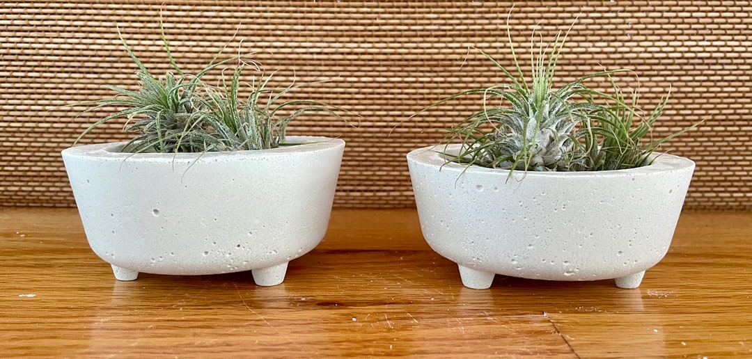 S/2 White Cement Planters W/legs Air Plant Holders Concrete - Etsy