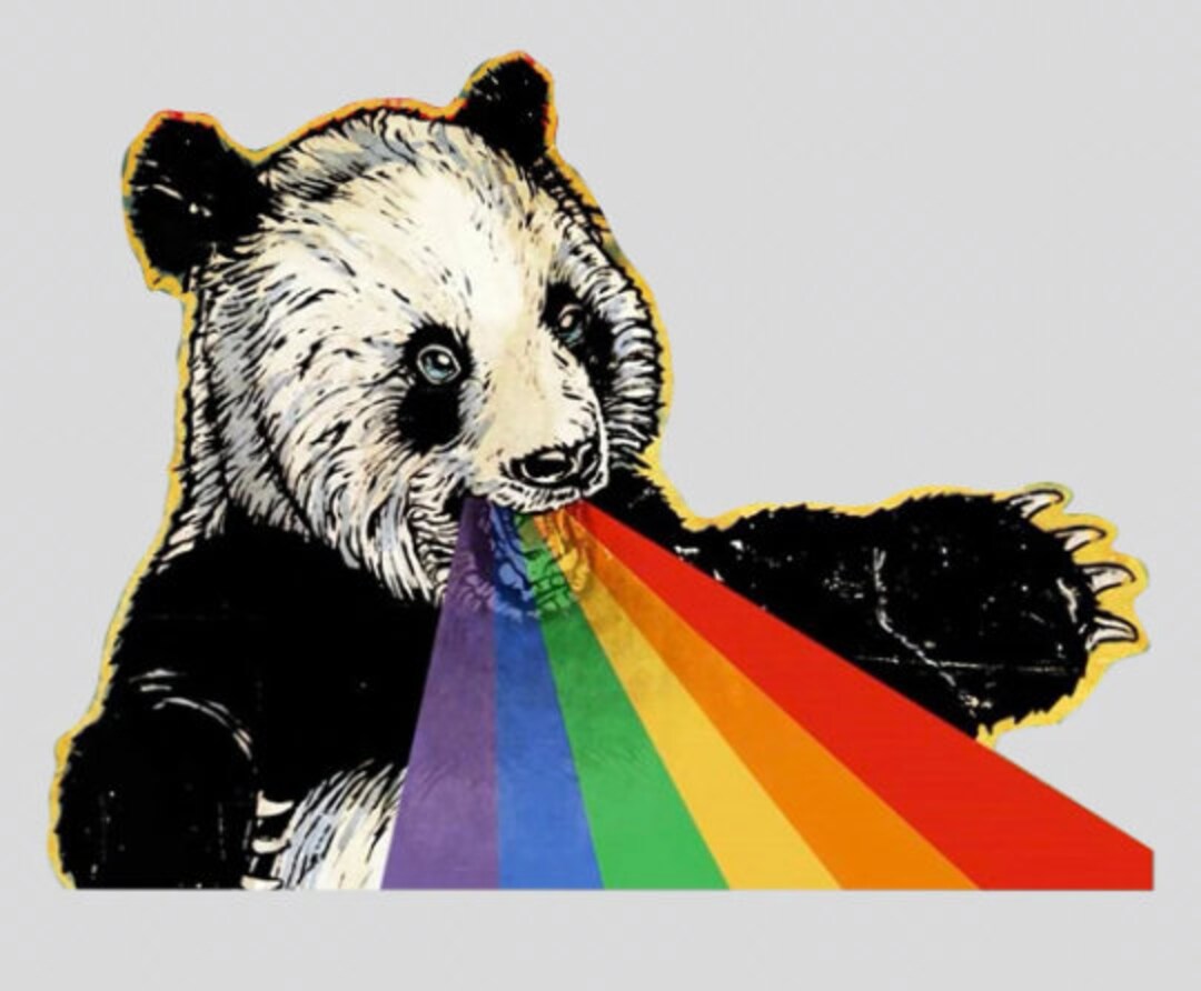Sticker Rainbow Panda Car Sticker - Etsy