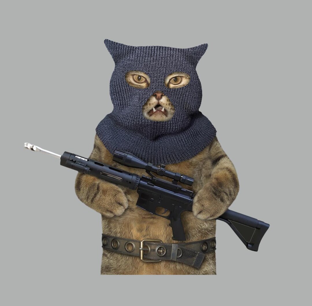 Sticker - Rebel Cat With a Machine Gun - Water Proof Laptop, Water ...