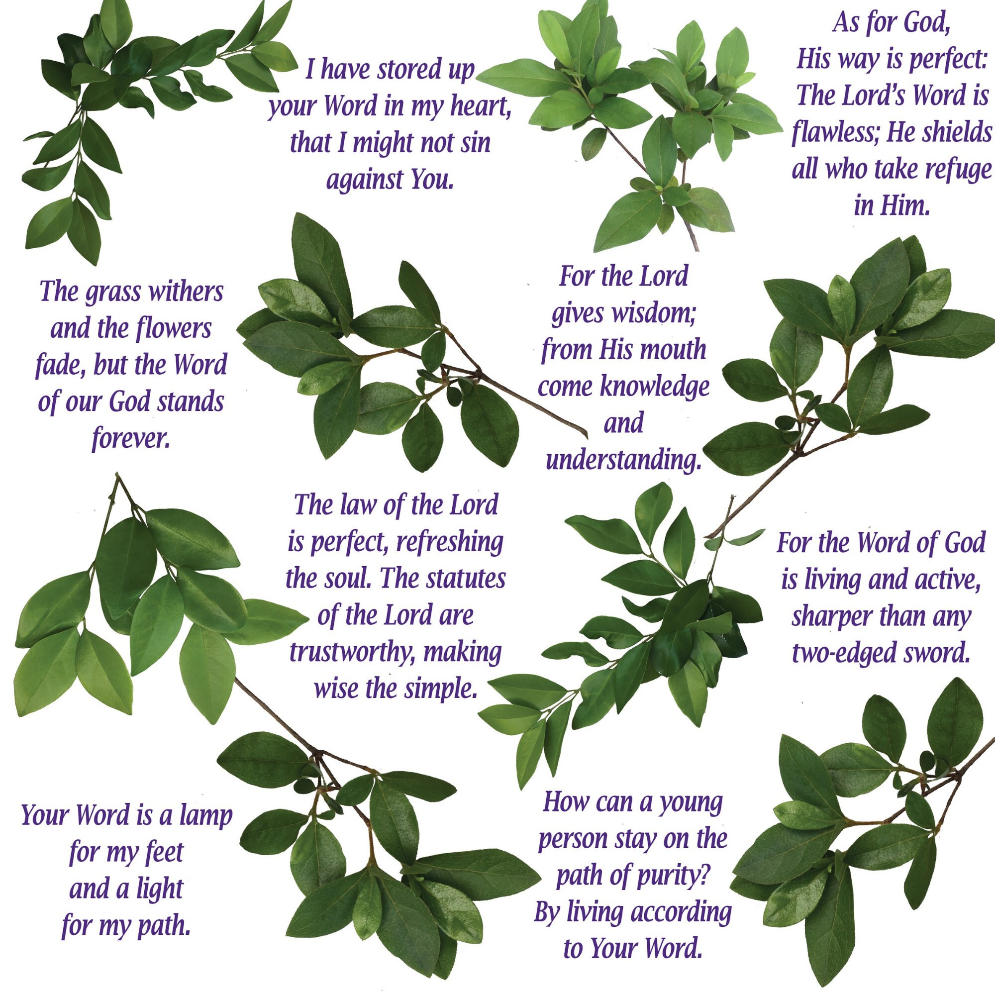 Printable, Digital Paper, Gift Wrap, Bible Verses - Etsy