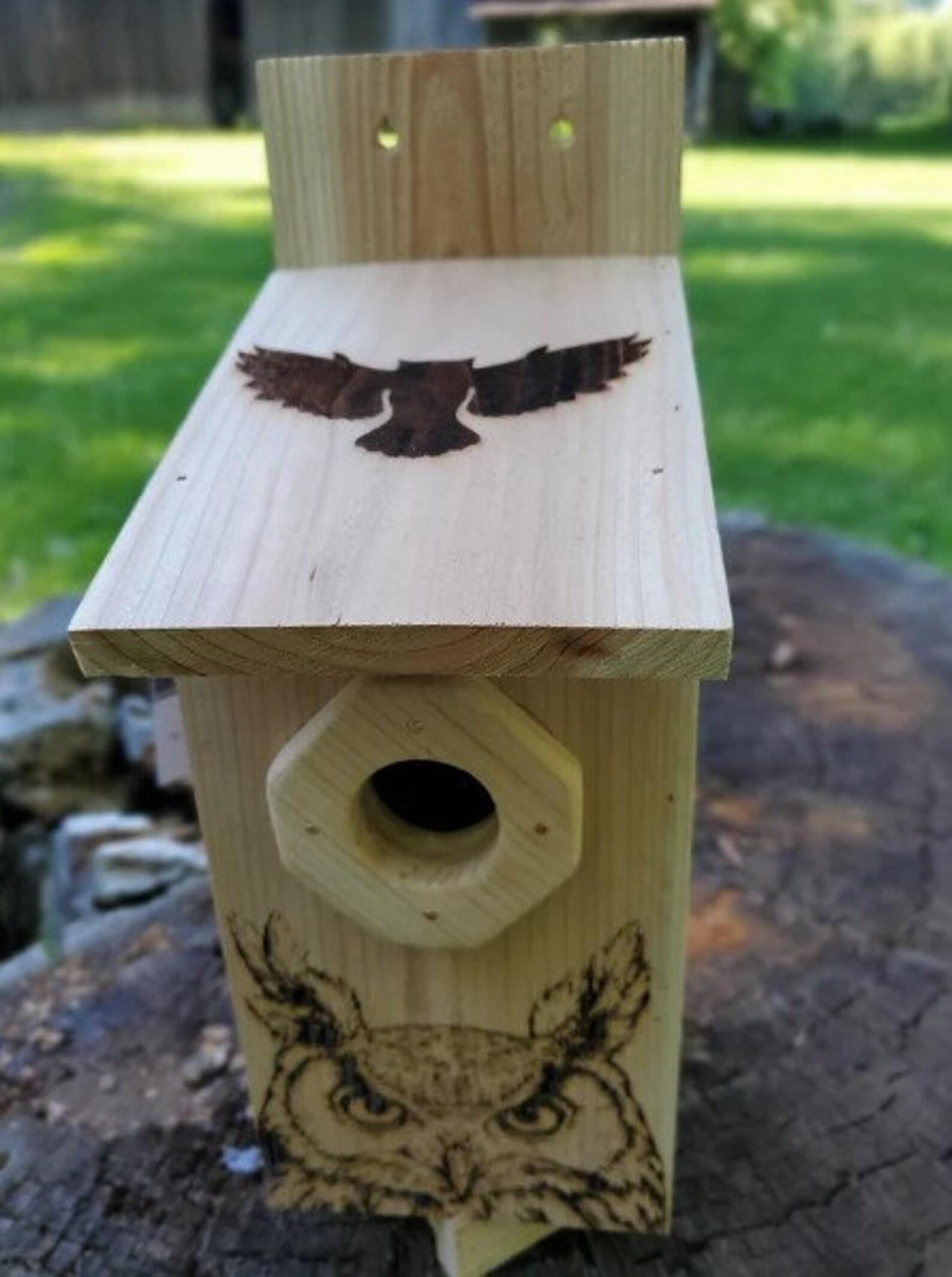 Owl Design Bluebird Birdhouse - Etsy
