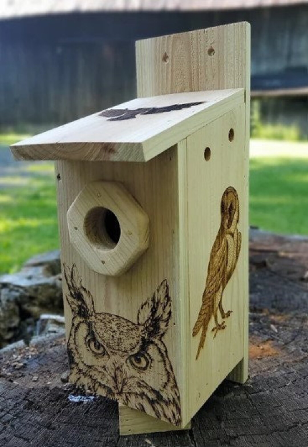 Owl Design Bluebird Birdhouse - Etsy