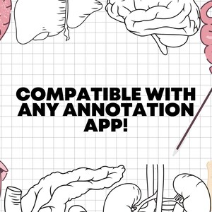 Anatomy Sticker Pack Book Goodnotes - Etsy