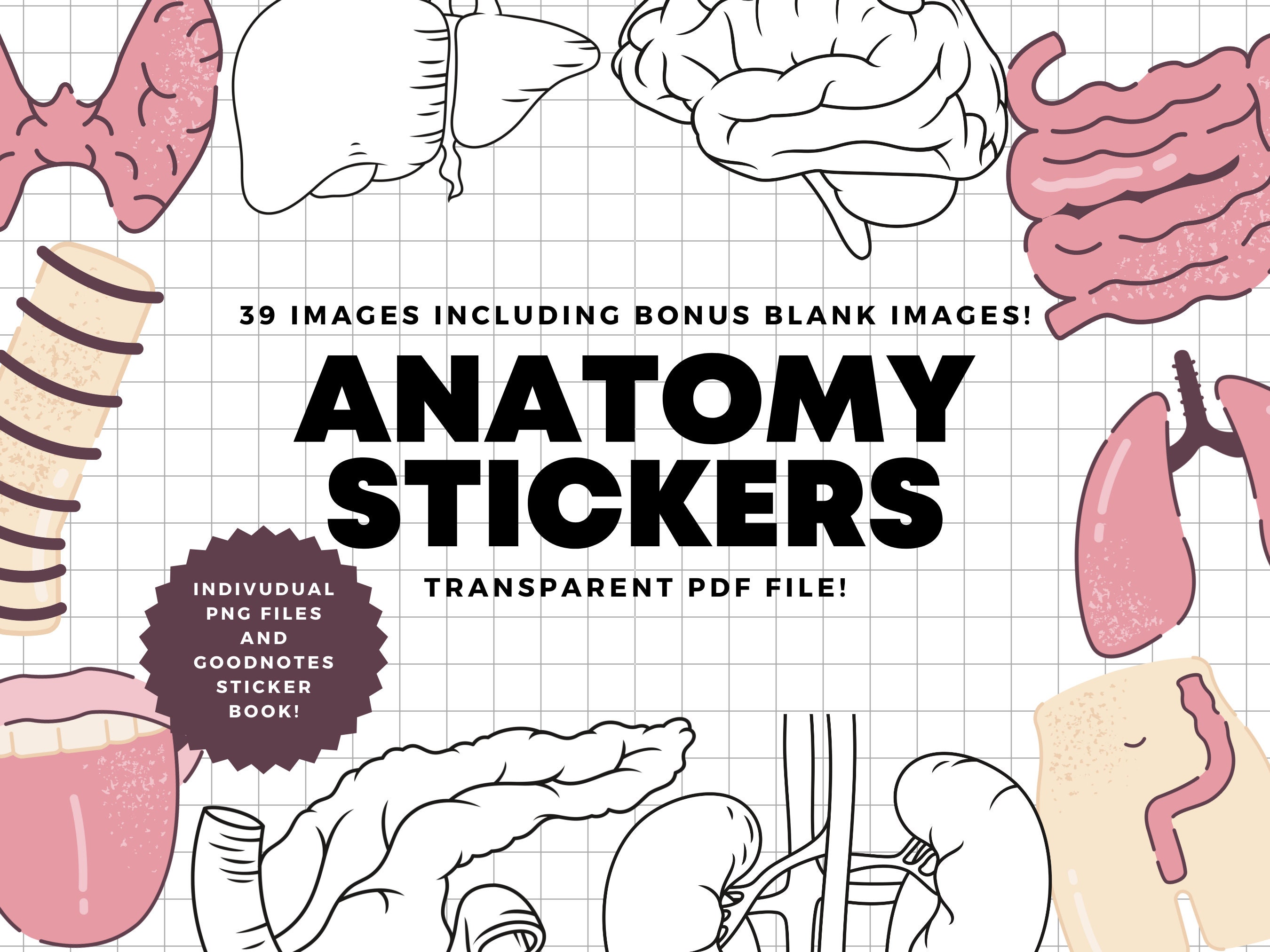 Anatomy Sticker Pack Book Goodnotes - Etsy