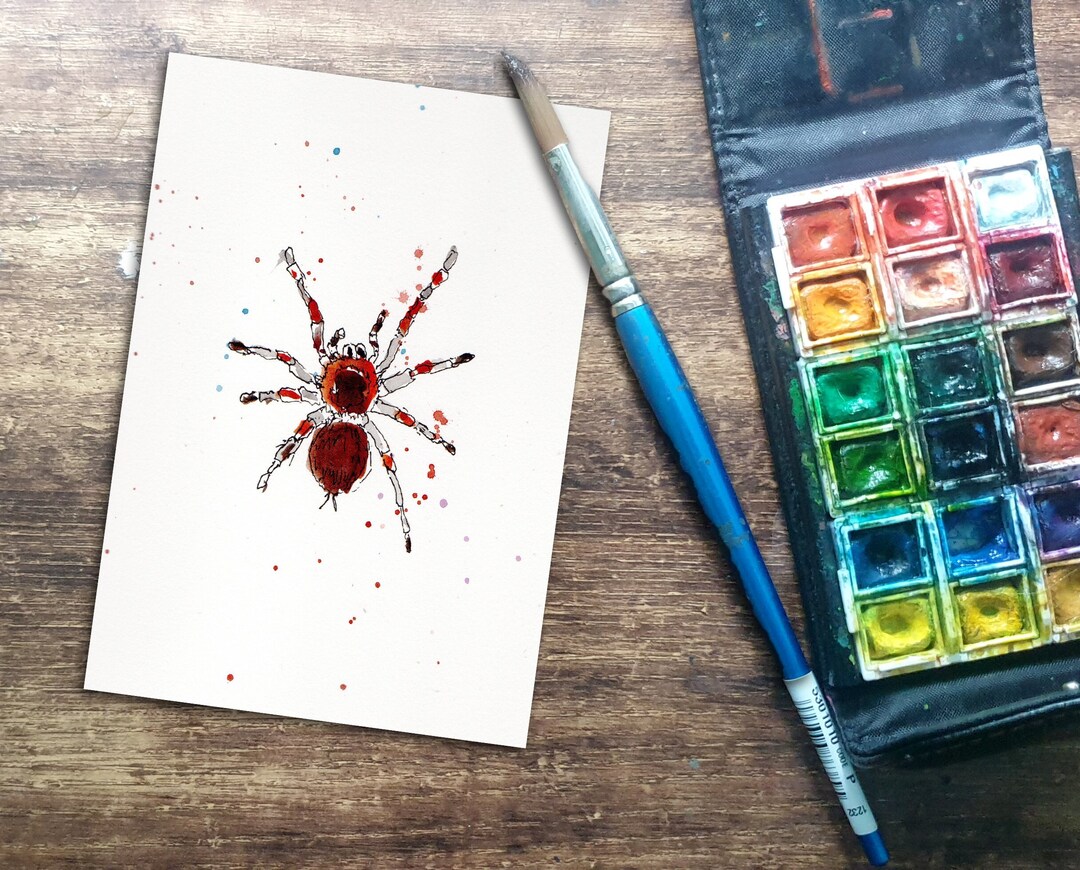 Tarantula Picture- Watercolour Spider Original Painting. Signed Picture ...