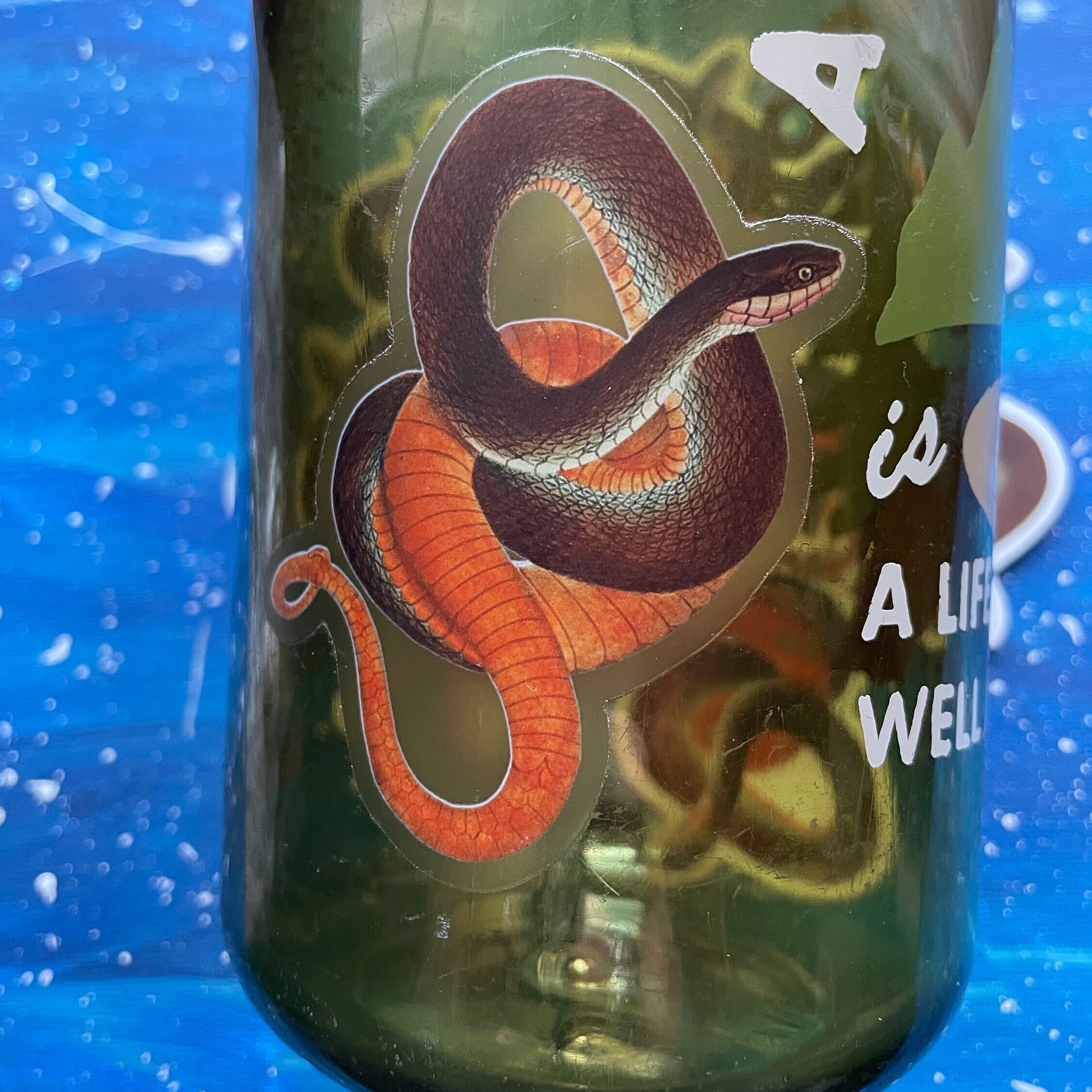 Copper Belly Water Snake Clear Waterproof Vinyl Sticker - Etsy