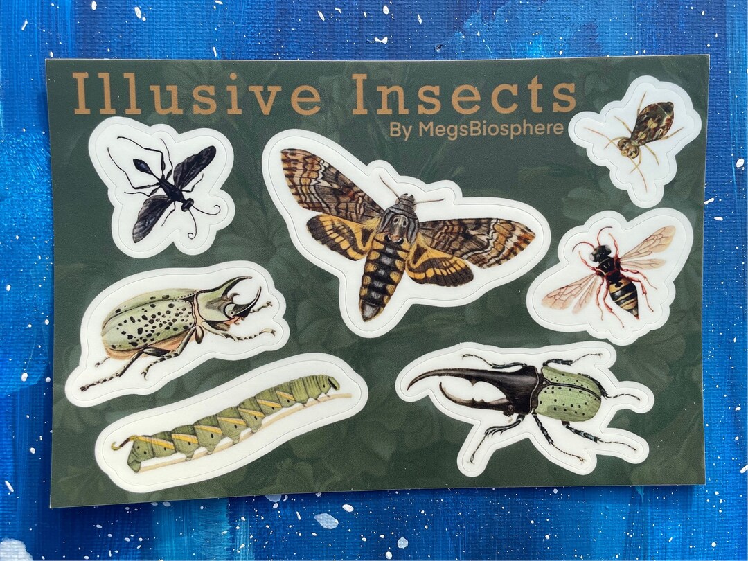 Illusive Insects Waterproof Vinyl Scientific Illustration Stickers - Etsy
