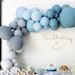 Bluey Balloon Backdrop, Let's Pawty Balloon Garland, Bluey Birthday ...