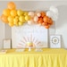 Trip Around the Sun DIY Balloon Garland Garland | Sun Balloon Garland ...