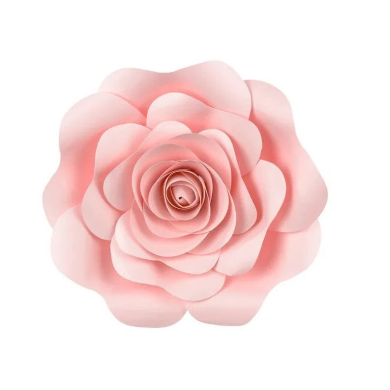 Pink Paper Flower Backdrop Set of 5 Pastel Pink Paper Flower - Etsy