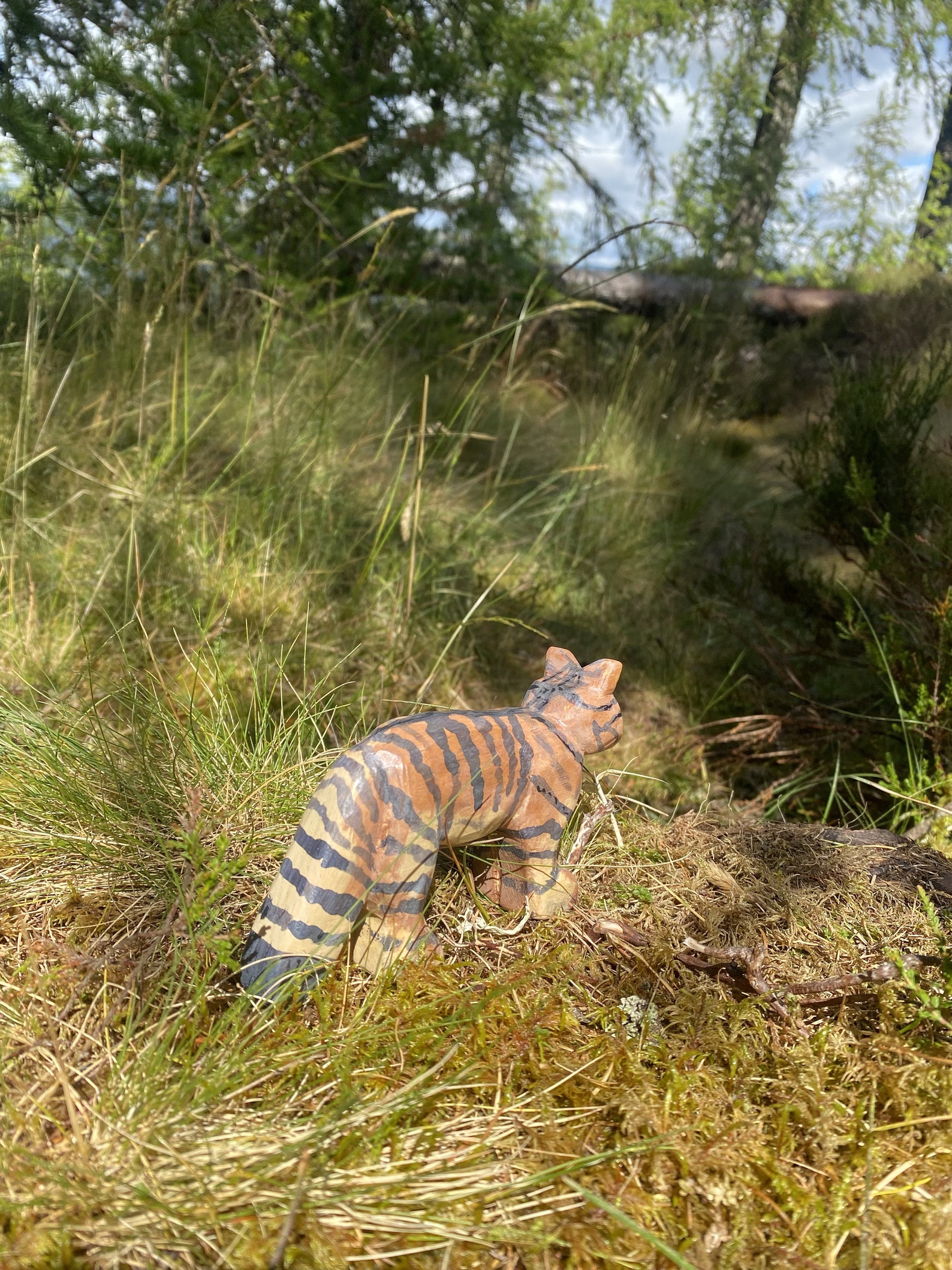 Scottish Wildcat Wooden Toy Cat Figure - Etsy