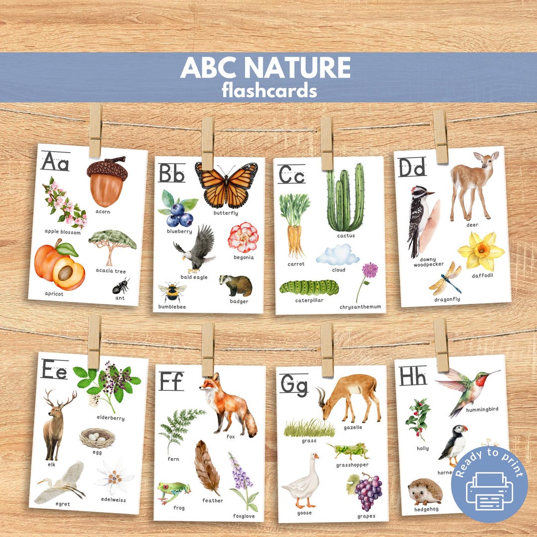 Nature ABC Cards, Charlotte-mason Alphabet Flashcards - Etsy