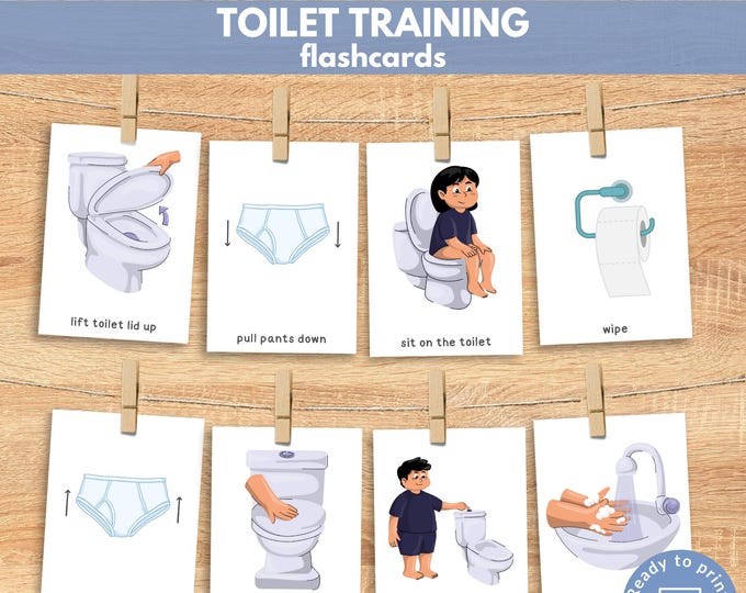 Toilet Training Potty Chart Communication Visual Board Flash Cards ...