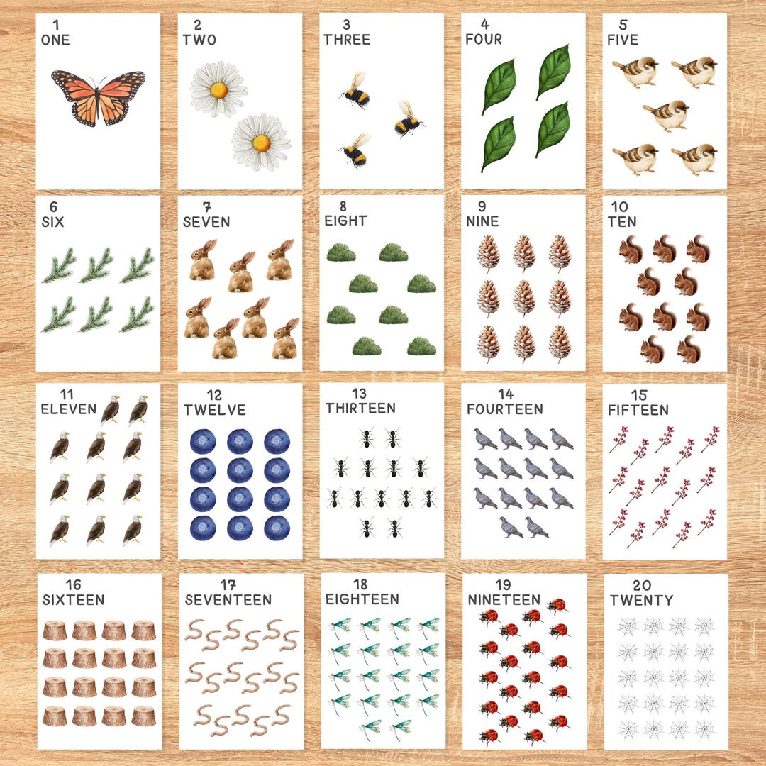 Nature Number Cards 1-20, Charlotte Mason Preschool Homeschool ...