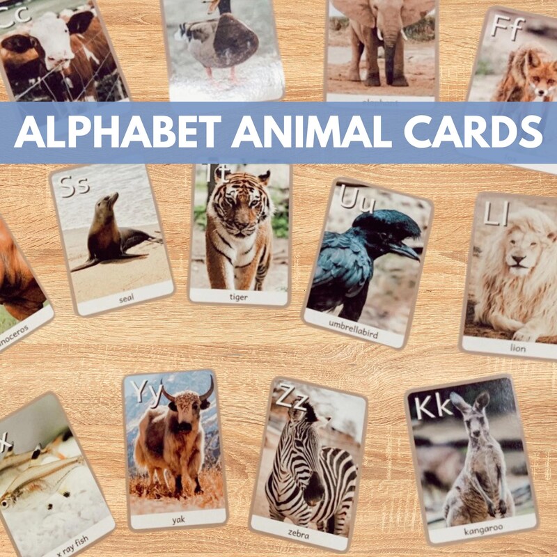 Animal Flash Cards - Etsy