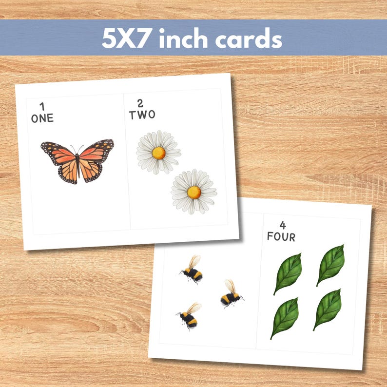 Nature Number Cards 1-20, Charlotte Mason Preschool Homeschool ...