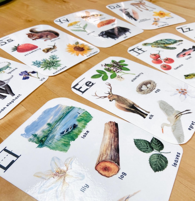 Nature ABC Cards, Charlotte-mason Alphabet Flashcards - Etsy