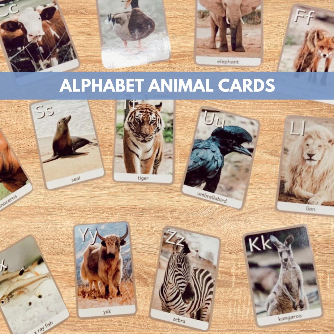 Animal Alphabet Flash Cards With Real Pictures (digital Download) - Etsy