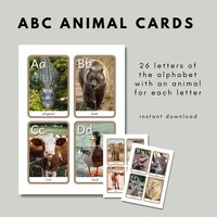 Animal Printable Picture-word Cards Set 48 Cards Animal Habitat ...