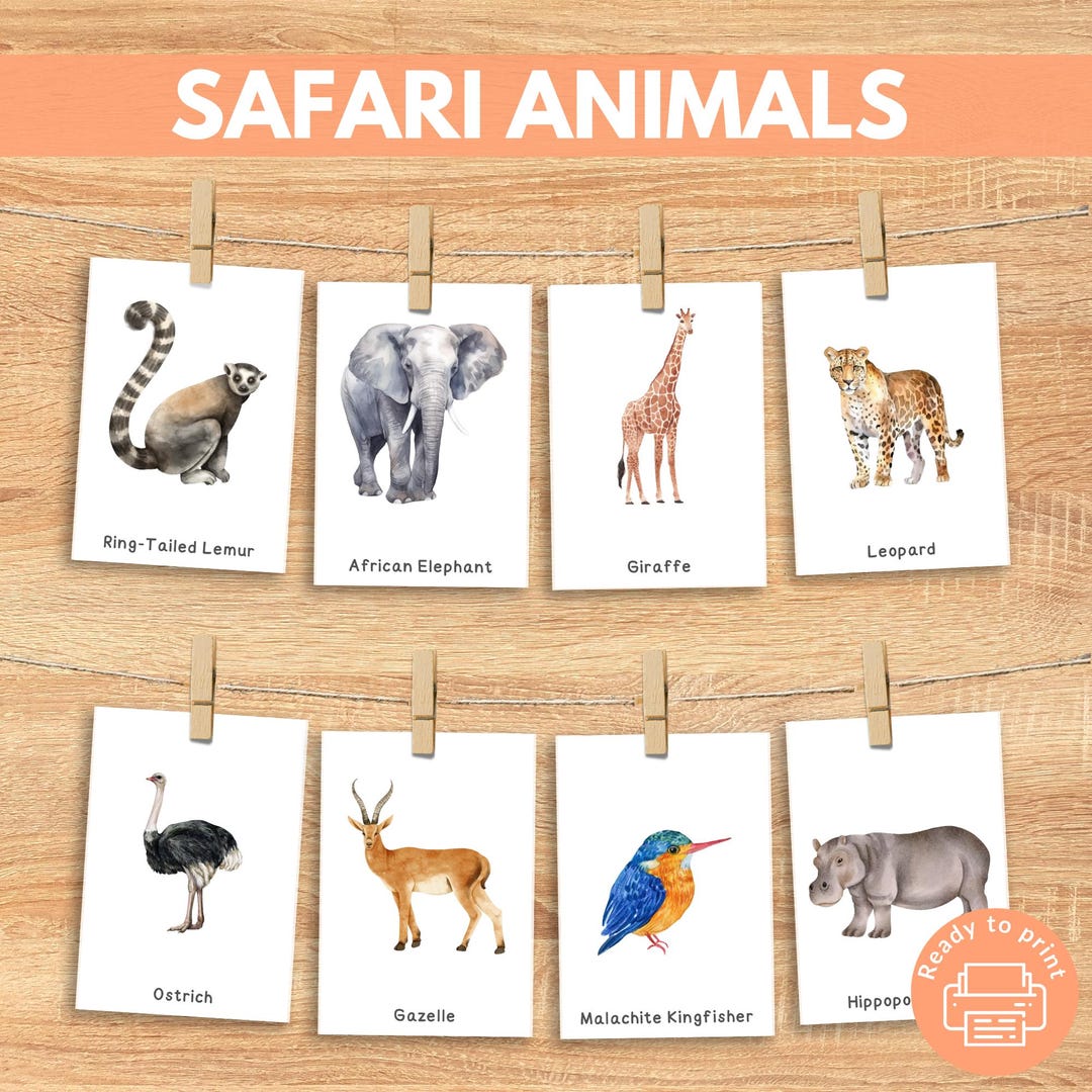 18 Safari Animal Flashcards, 3 Part Cards, Printable Montessori ...