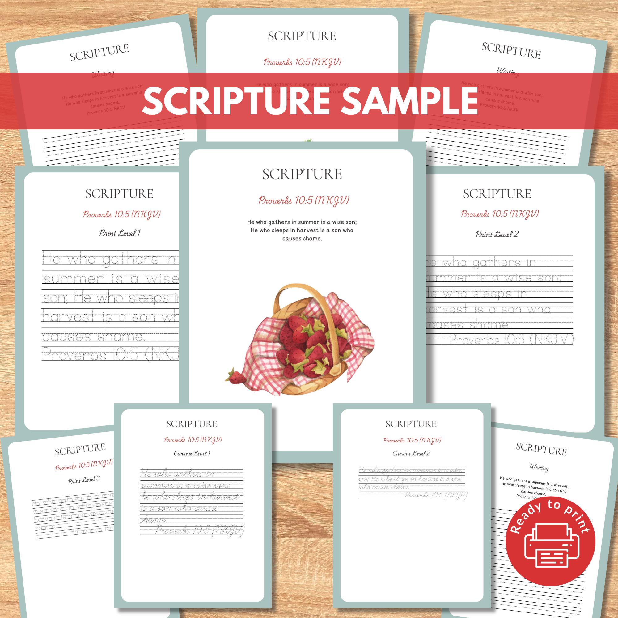 Summer Copywork Bundle: Charlotte Mason Inspired Poetry, Hymns ...