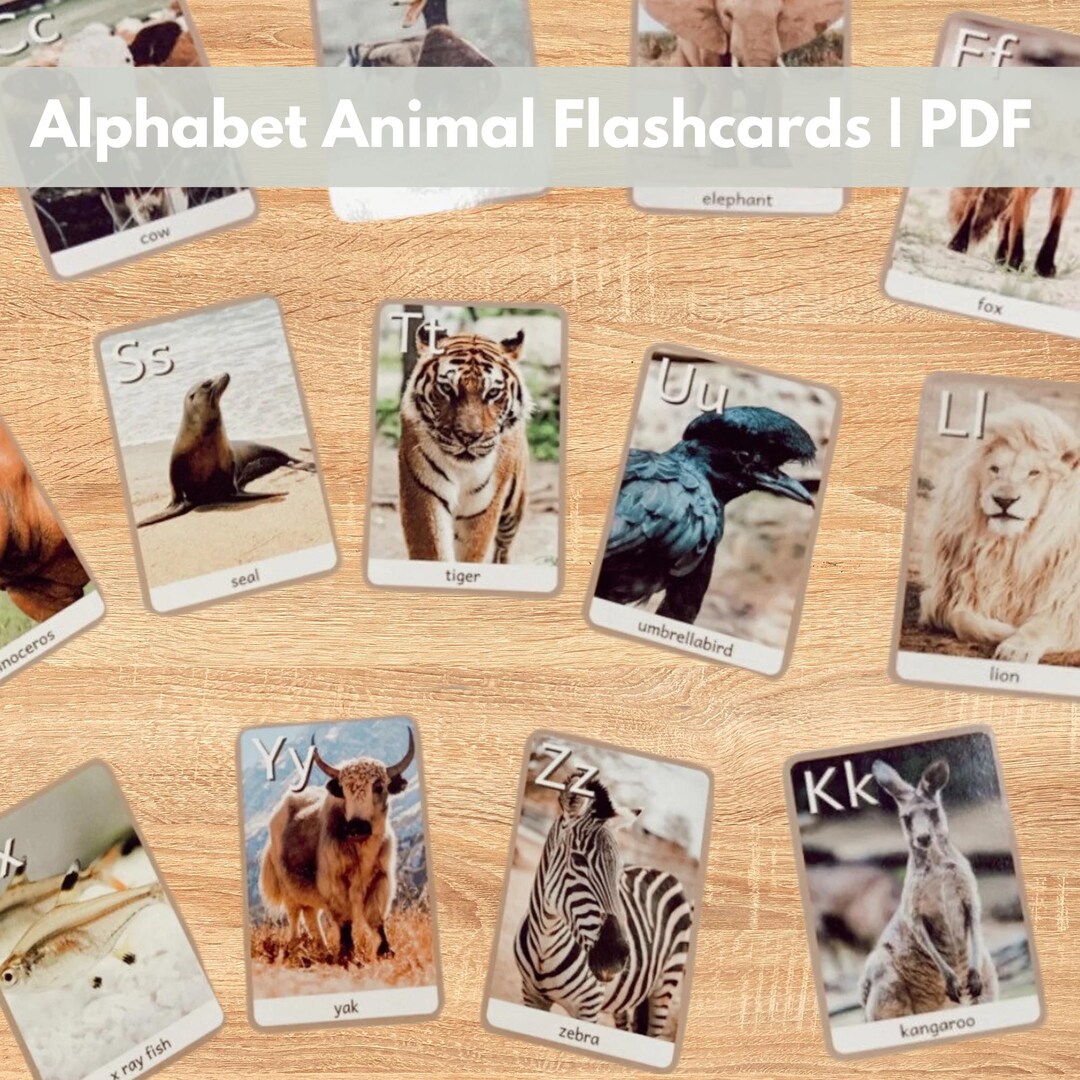 Animal Alphabet Cards Real Pictures, Abcs, Nature-themed, Kindergarten ...