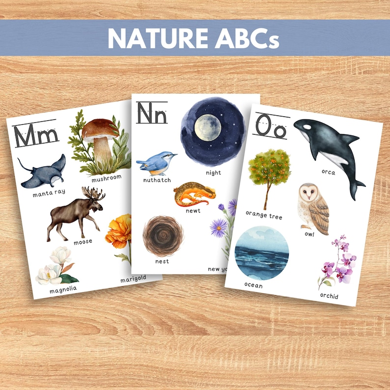 Nature ABC Cards, Charlotte-mason Alphabet Flashcards - Etsy