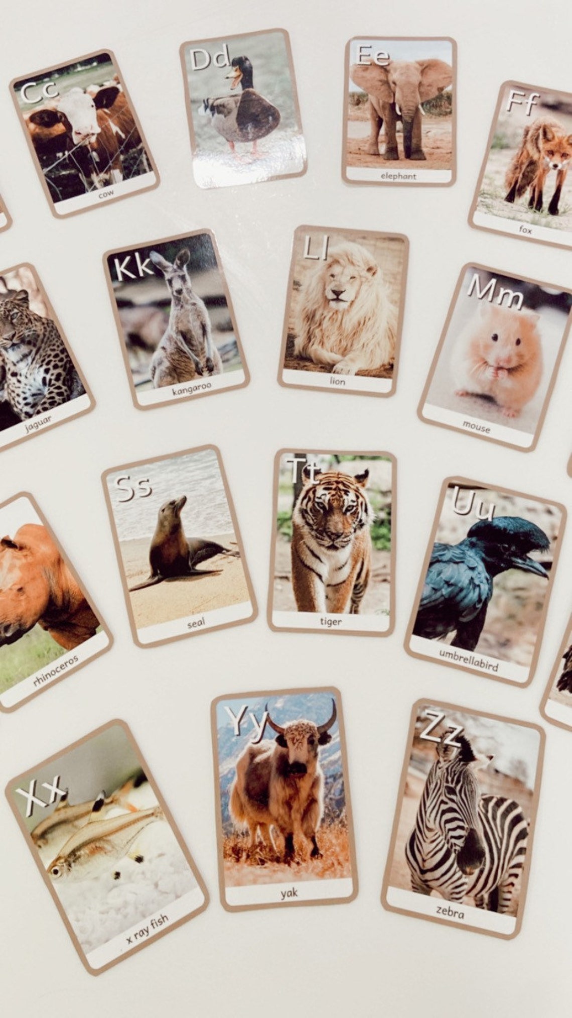 ABC Animal Cards Printable Montessori Alphabet Animal Cards With Real ...