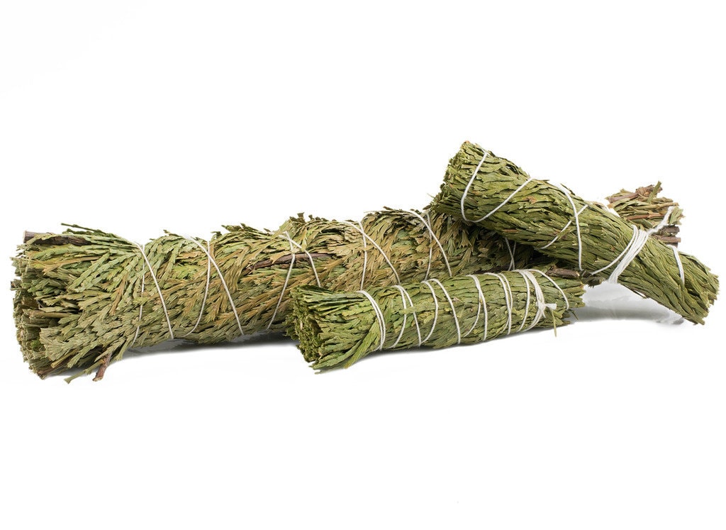 Cedar, Red Cedar, Cedar Leaves, Bundles, Cedar - Etsy