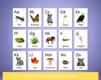 Nature ABC Cards Printable, Homeschool Printables, Classroom ABC ...