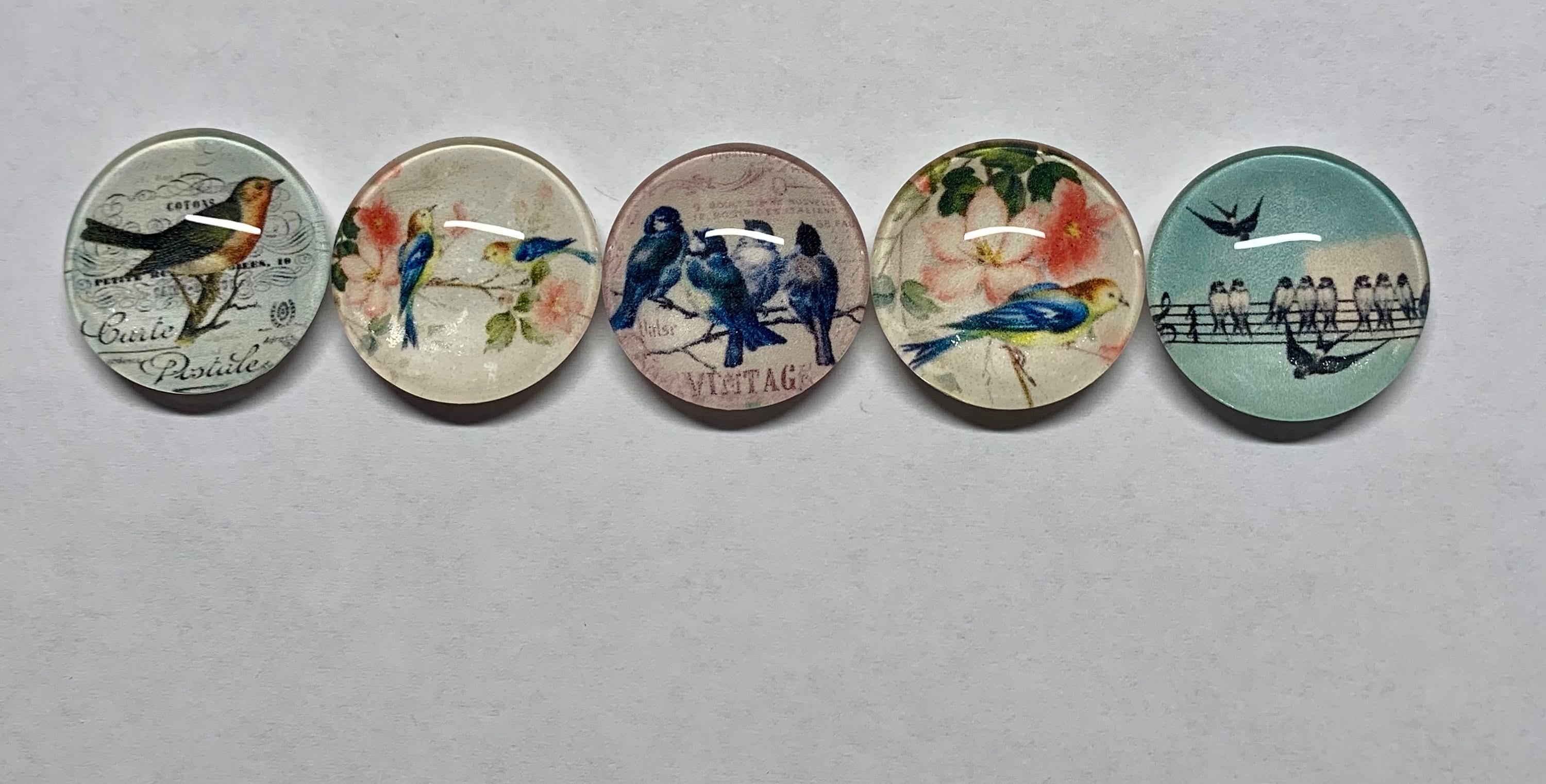 Vintage Birds Round Glass Tile Magnets Set of 5 - Etsy