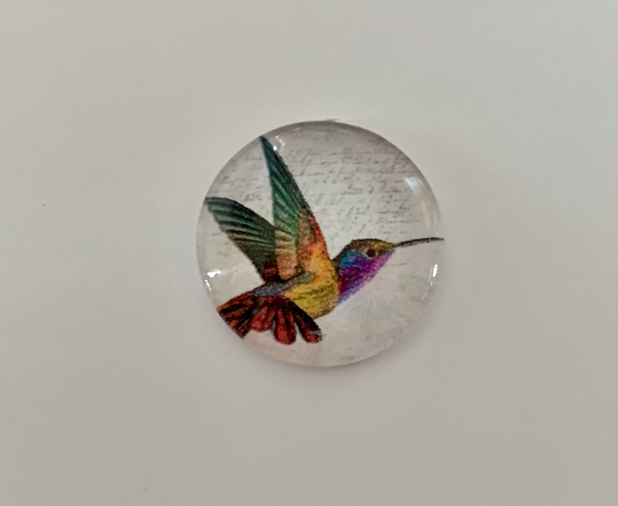 Hummingbird Round Glass Tile Magnets Set of 5 - Etsy