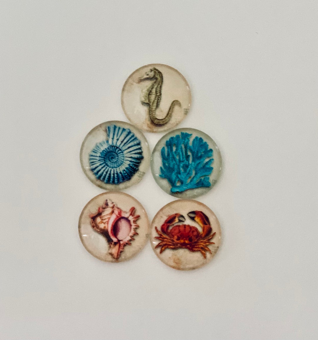 Fun Coastal Themed Round Glass Magnets Set of 5 - Etsy