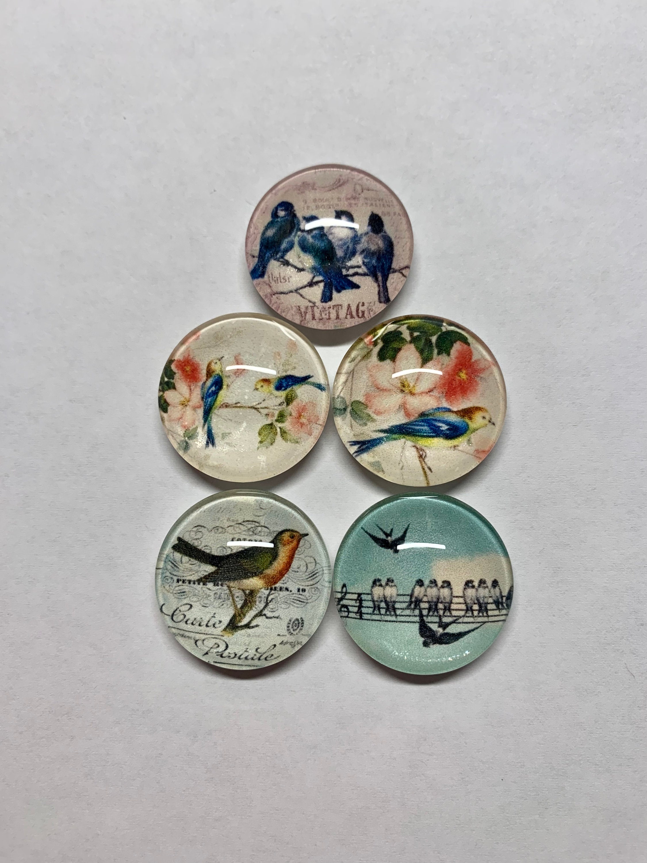 Vintage Birds Round Glass Tile Magnets Set of 5 - Etsy