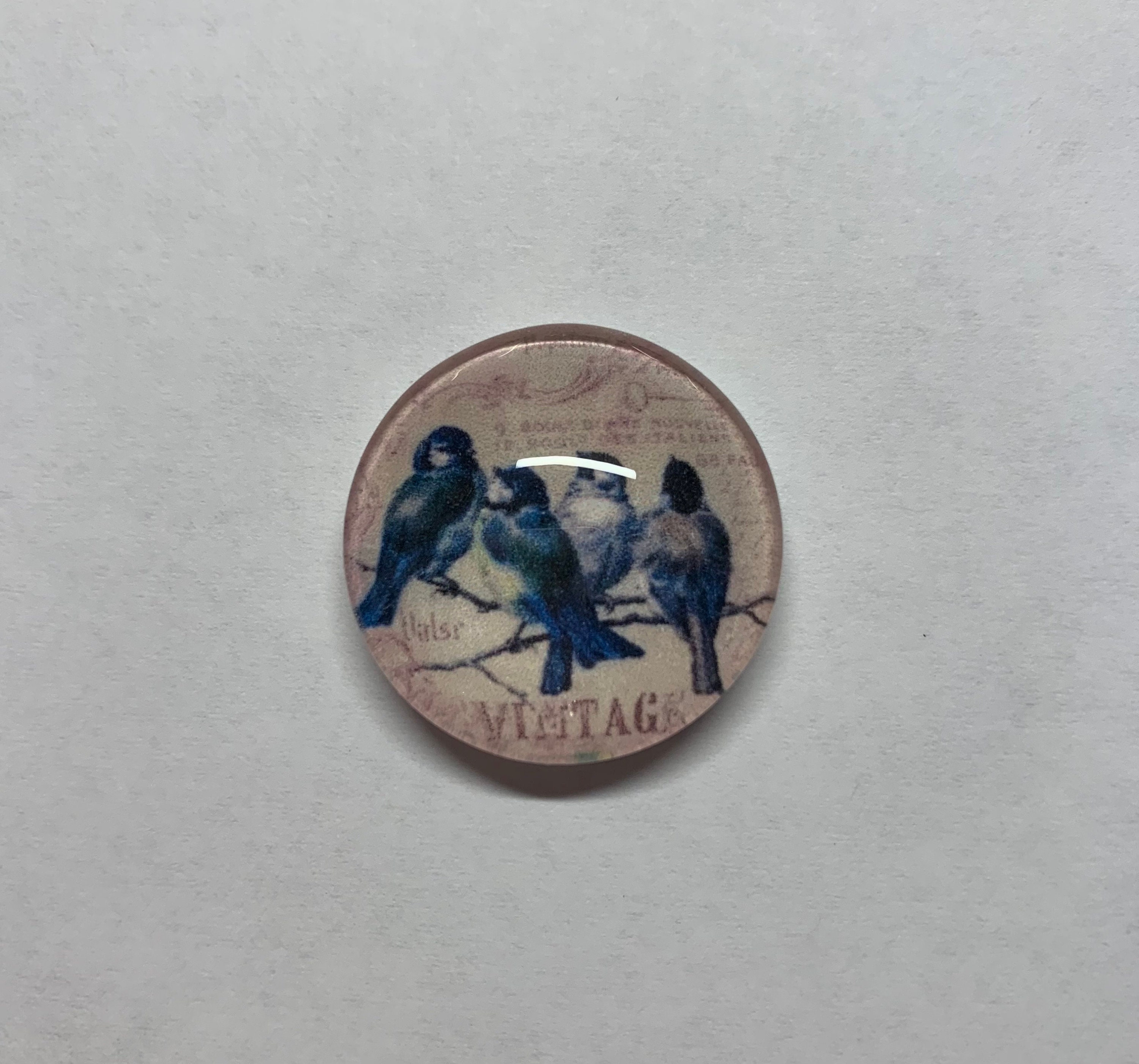Vintage Birds Round Glass Tile Magnets Set of 5 - Etsy
