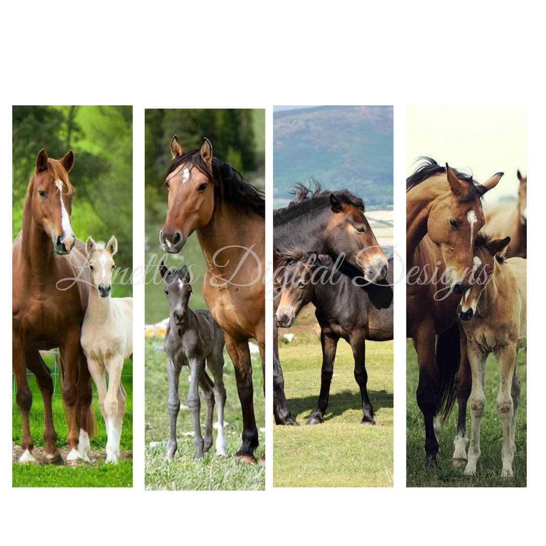 Mare and Foal Pen Wraps: Horse Pen Decals (PNG, Digital File) - Etsy
