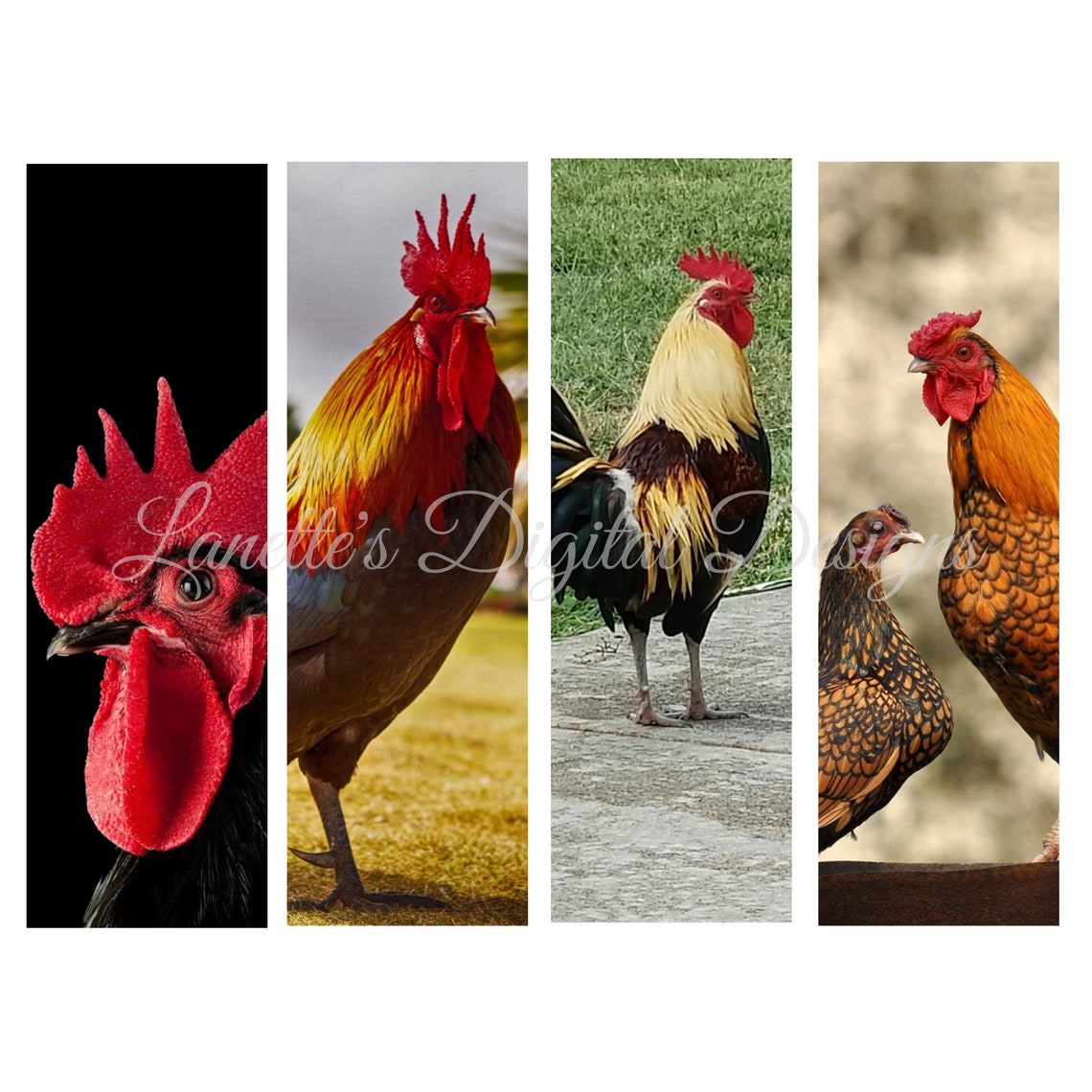 Rooster Pen Wraps Instant Download Digital File PNG - Etsy
