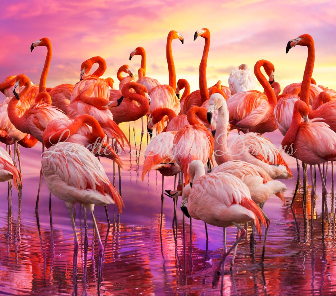 Flock of Flamingos, 20oz Skinny Tumbler Wrap, Instant Download, Digital File, PNG - Etsy