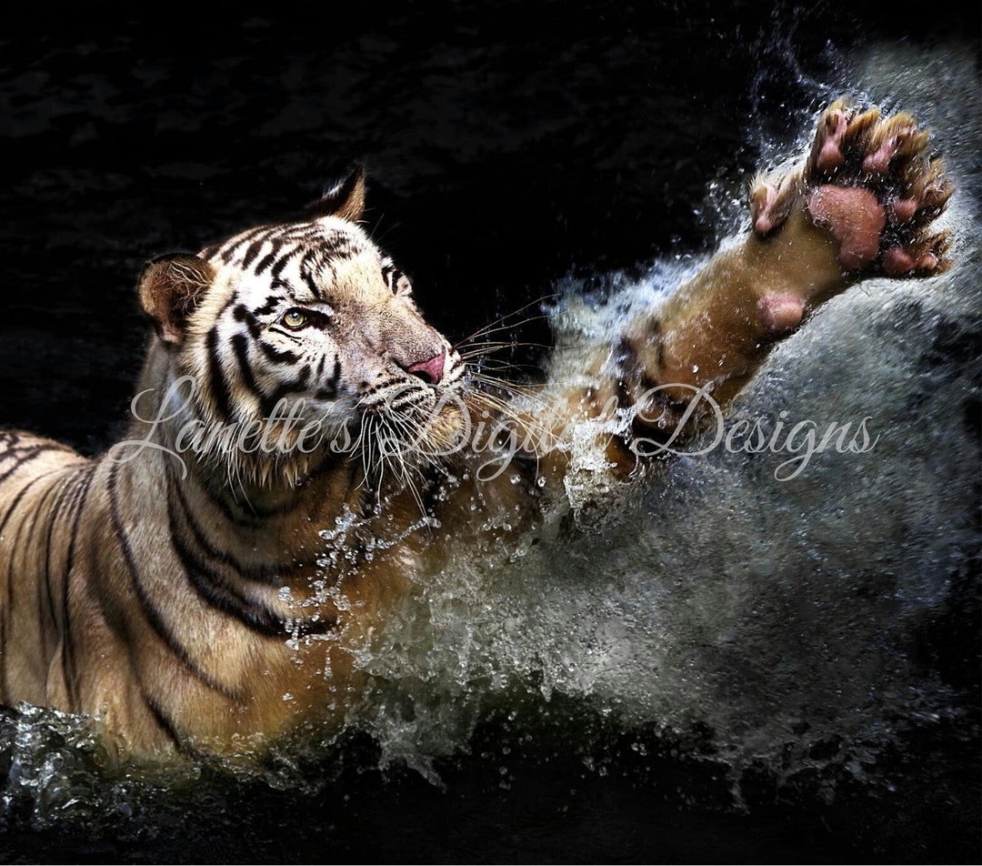 Water Tiger, Tiger Splashing Water, 20oz Skinny Tumbler Wrap, Instant ...