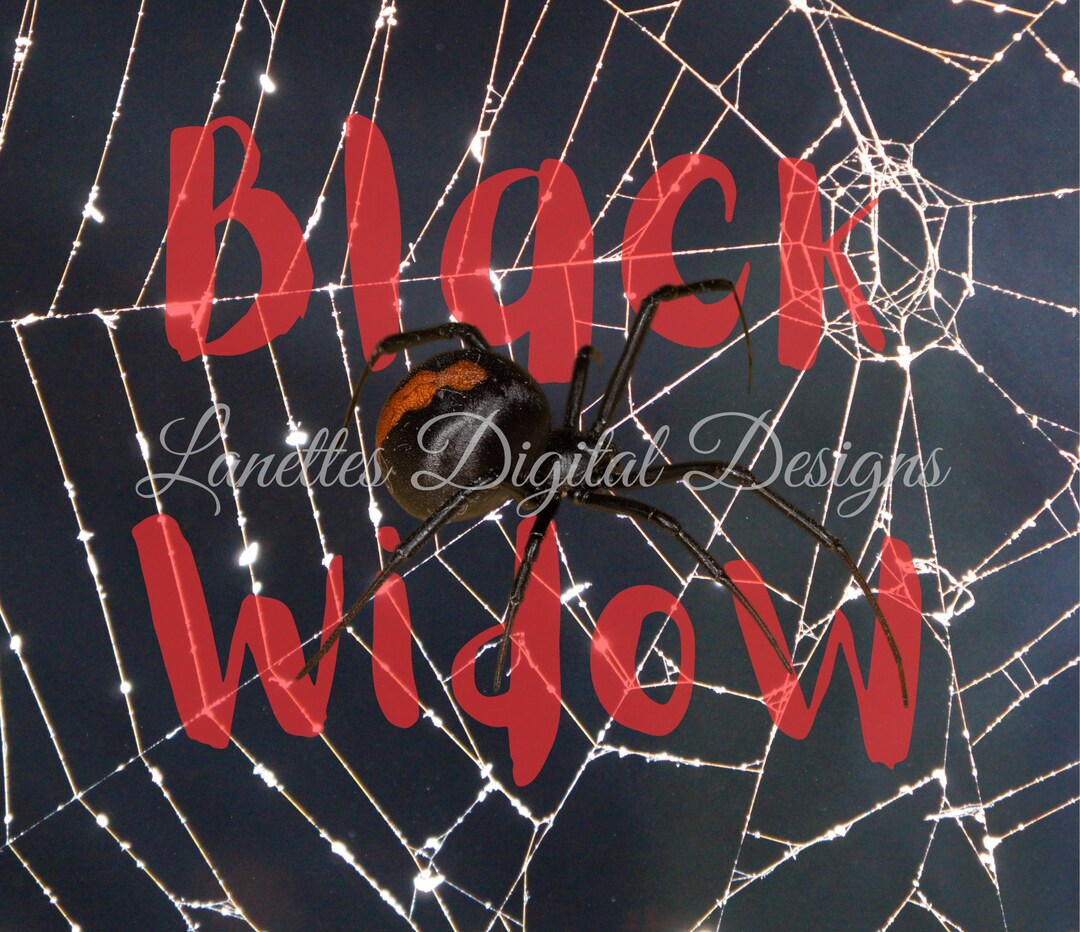 Black Widow, Black Background, Web, Spider, 20oz Skinny Tumbler Wrap ...