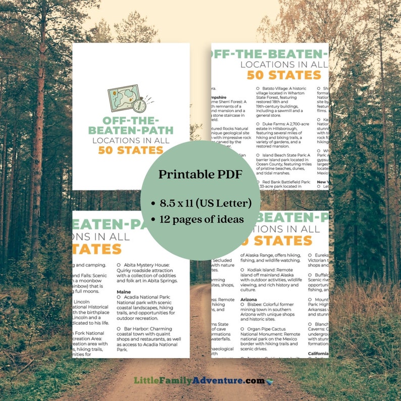 50 States Road Trip Guide | Unique Activities Checklist (PDF) - Etsy