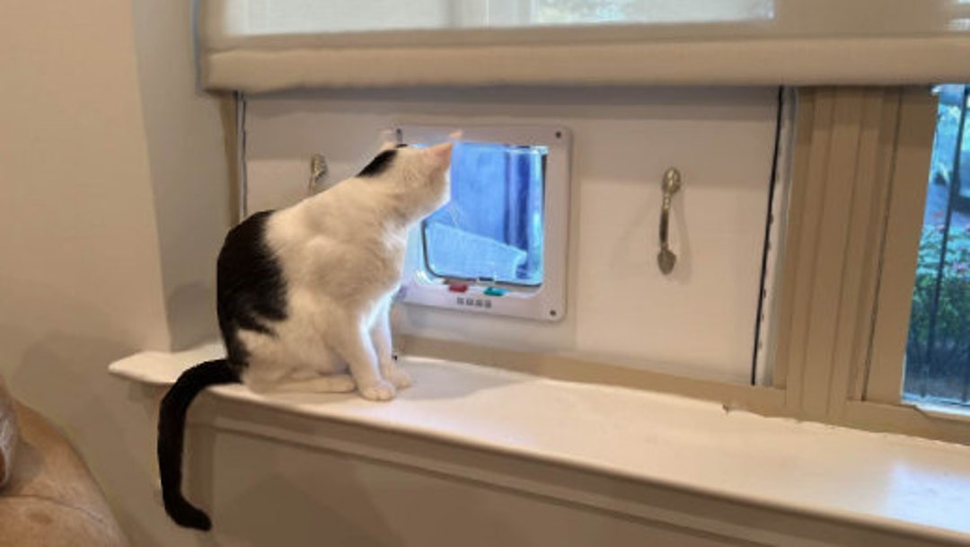 CAT WINDOW INSERT Custom Fitted by Jerry in His North Carolina Shop ...