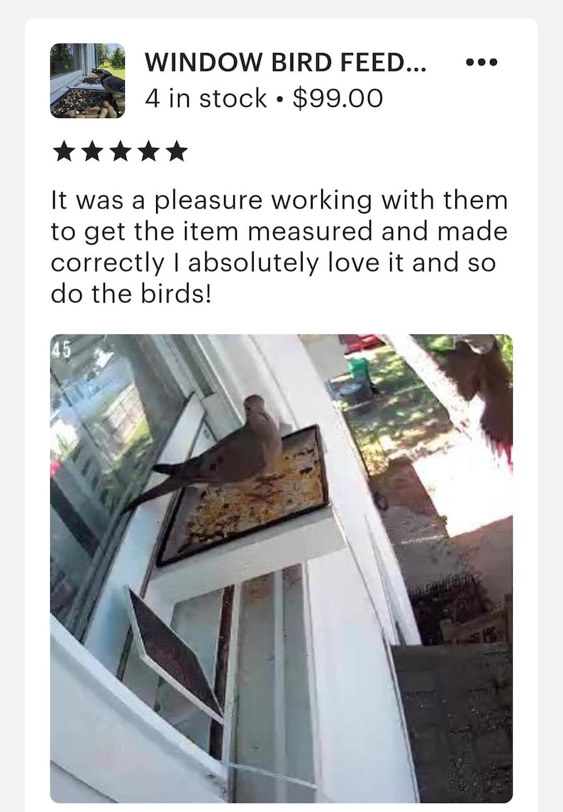 Luxury Window Bird Feeder - Hand Crafted Weather Resistant Without ...