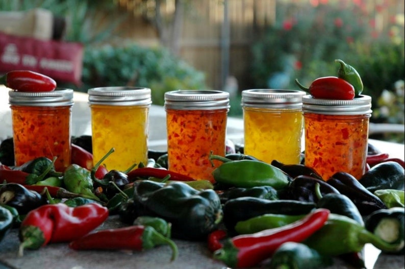 Extreme-raspberry Trinidad Scorpion Pepper Jelly - Etsy