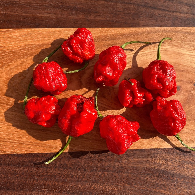 Extreme-raspberry Trinidad Scorpion Pepper Jelly - Etsy