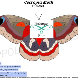 Cecropia Moth Stained Glass Pattern Digital PDF Download - Etsy