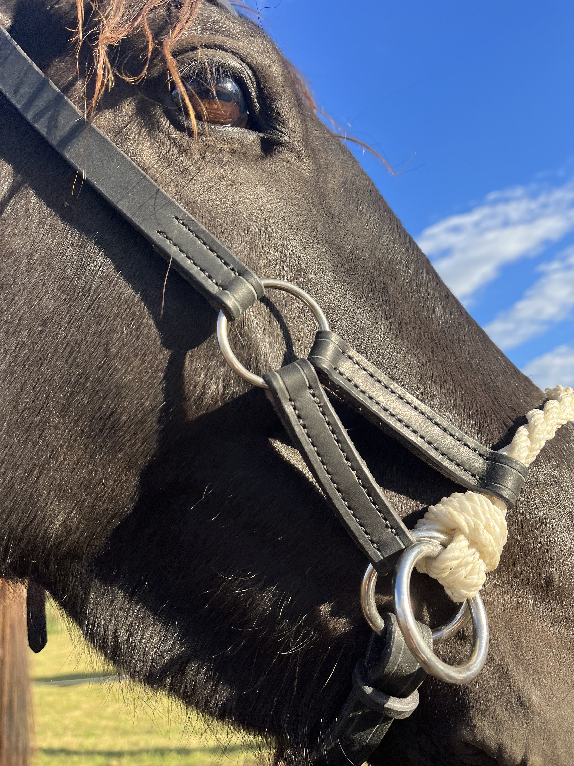 Sidepull Bitless Horse Bridle Rope Noseband Bit Less Leather Handmade - Etsy