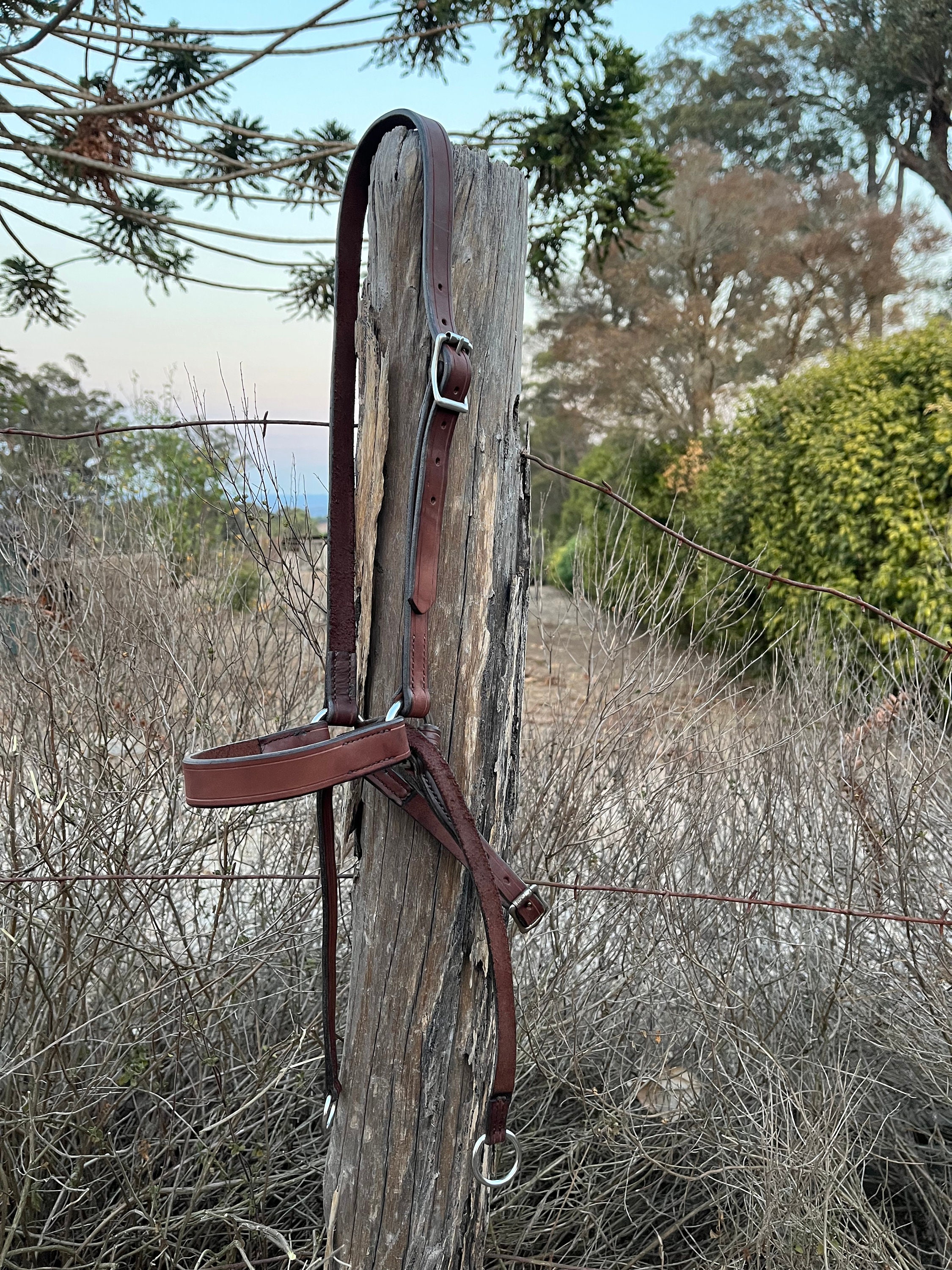 Bitless Horse Bridle Bit Less Leather Handmade - Etsy