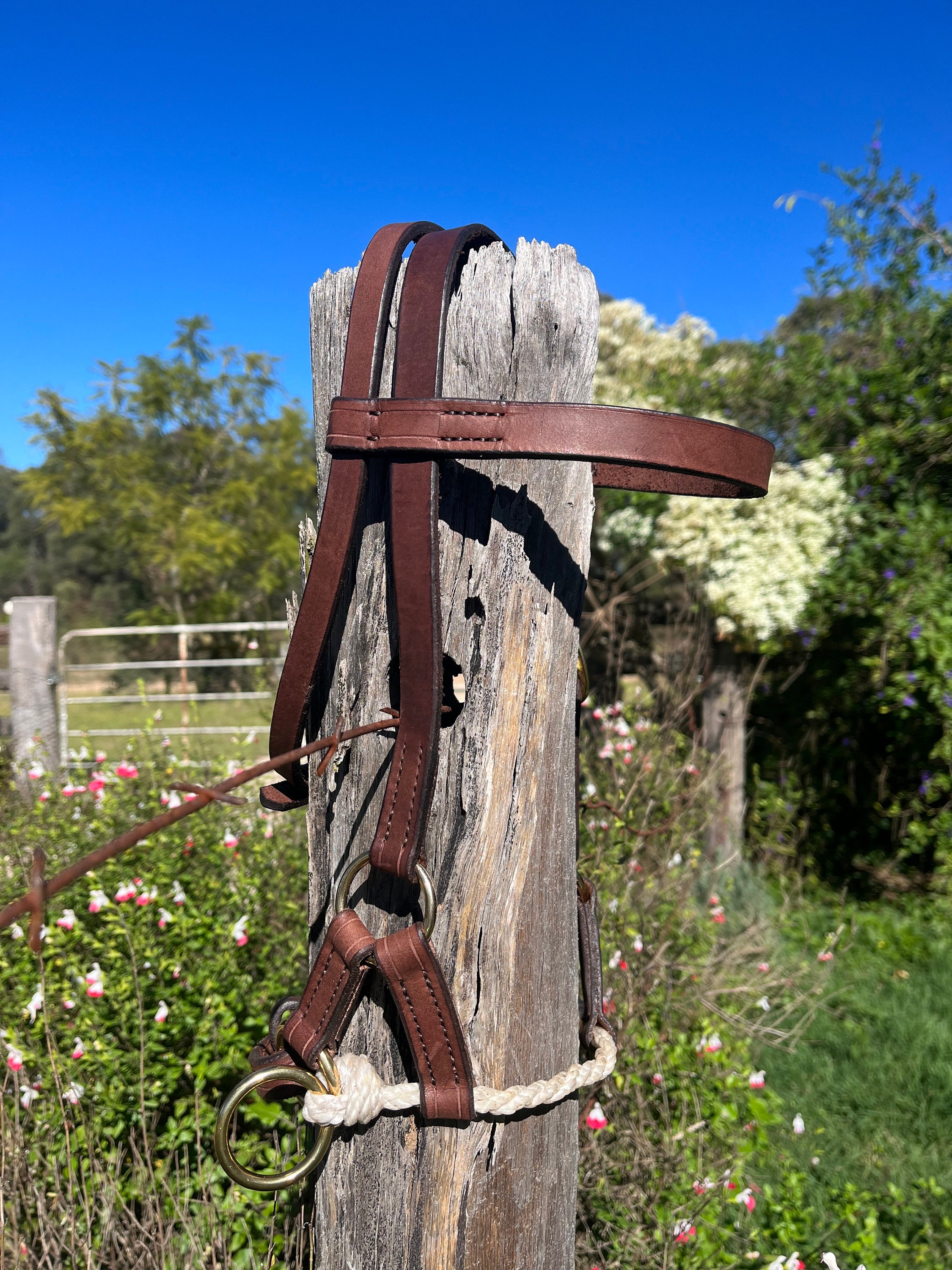 Sidepull Bitless Horse Bridle Rope Noseband Bit Less Leather Handmade - Etsy